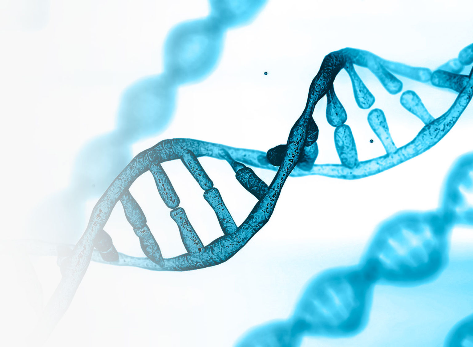 dna-strand-hero - Axelerist : Axelerist